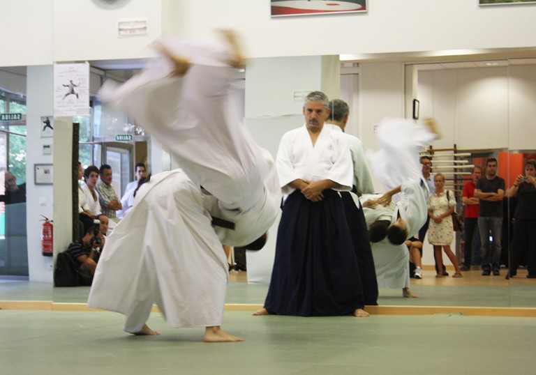 Takeda Ryu Nakamura Ha – Escuela Wuji